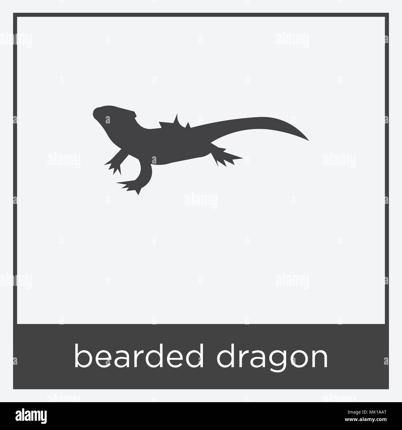 bearded dragon icon isolated on white background with gray frame, sign ...