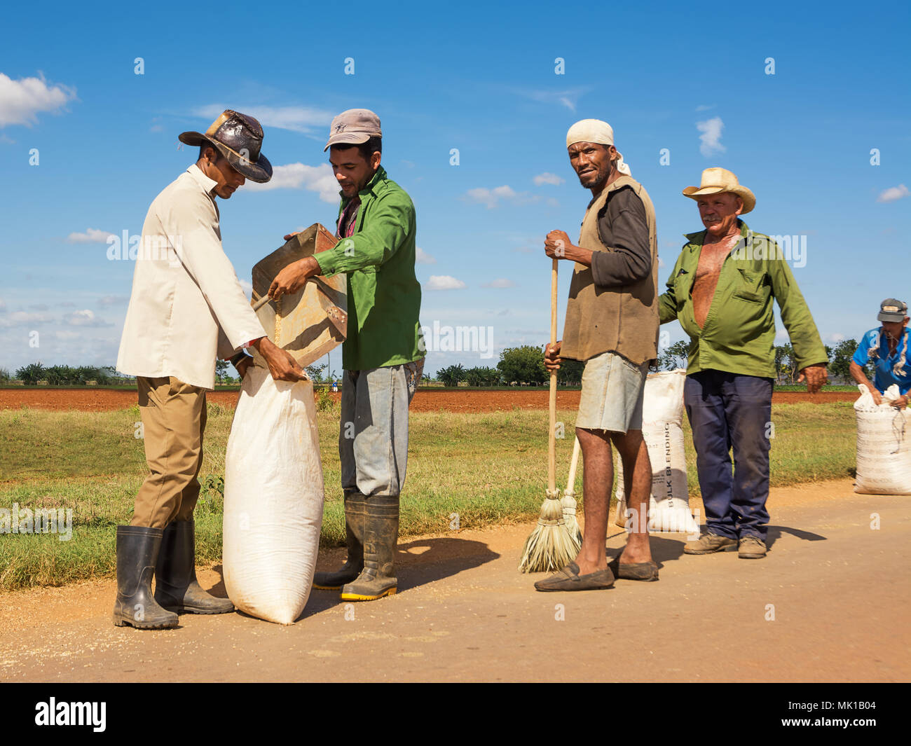 Rice drying hi-res stock photography and images - Alamy
