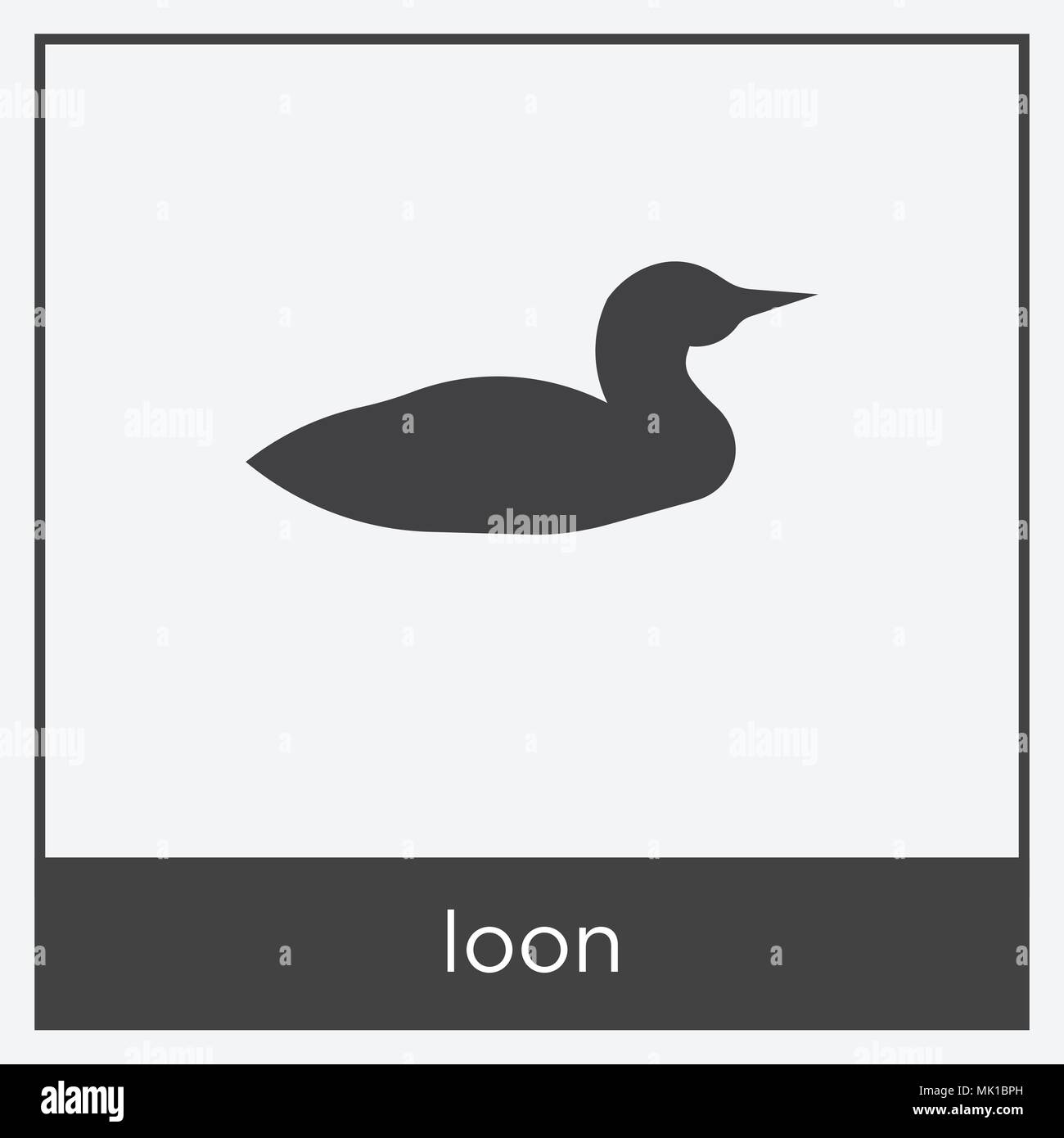 Loon Outline