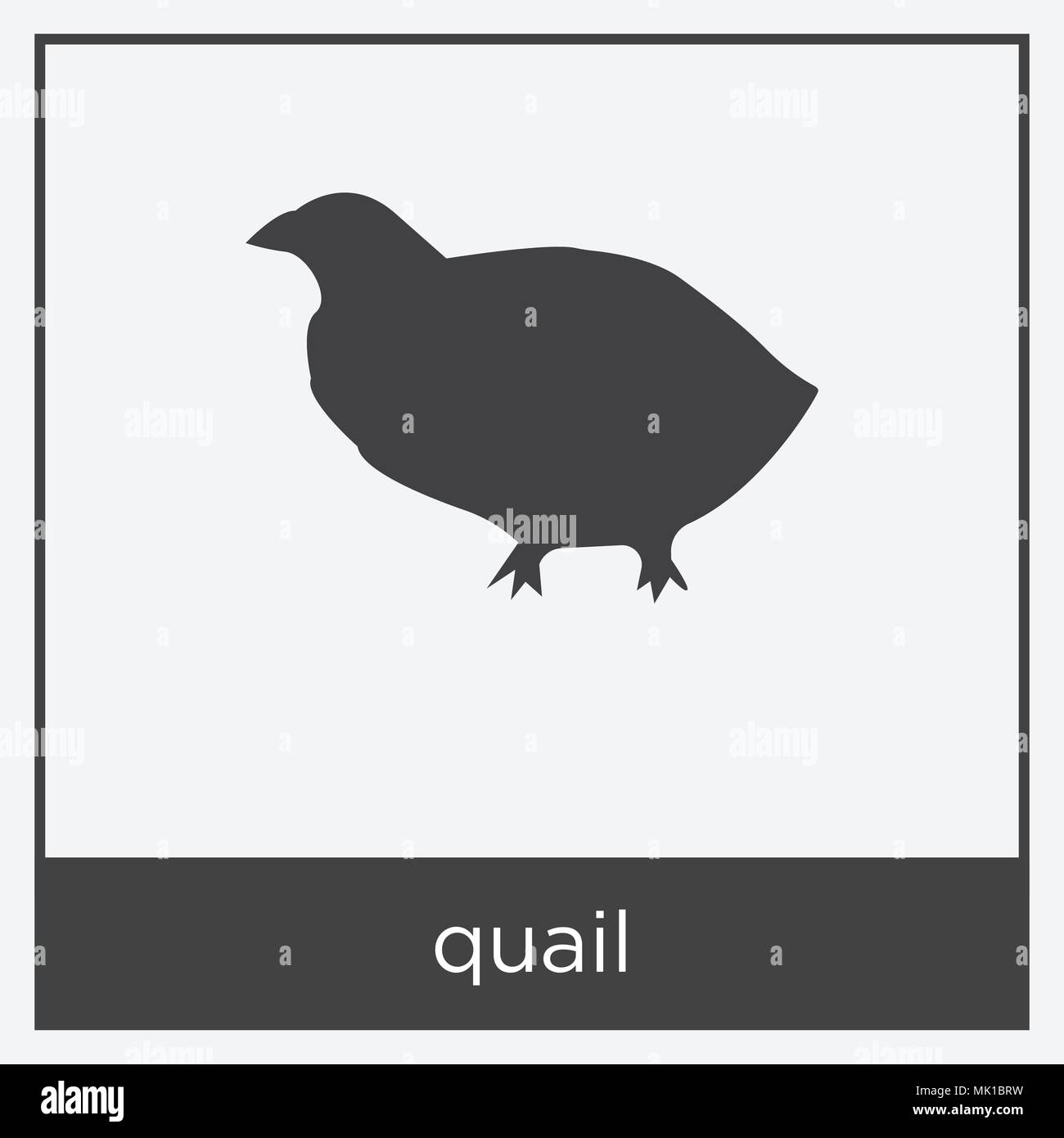 quail icon isolated on white background with gray frame, sign and ...