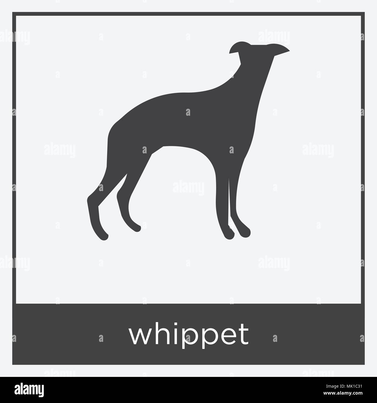 whippet icon isolated on white background with gray frame, sign and ...