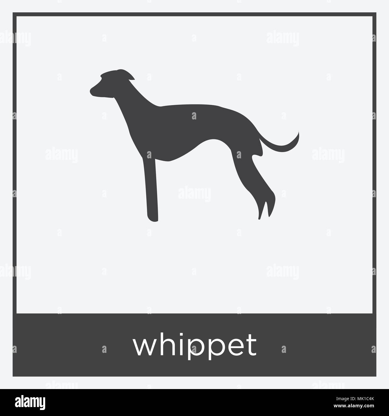 whippet icon isolated on white background with gray frame, sign and ...