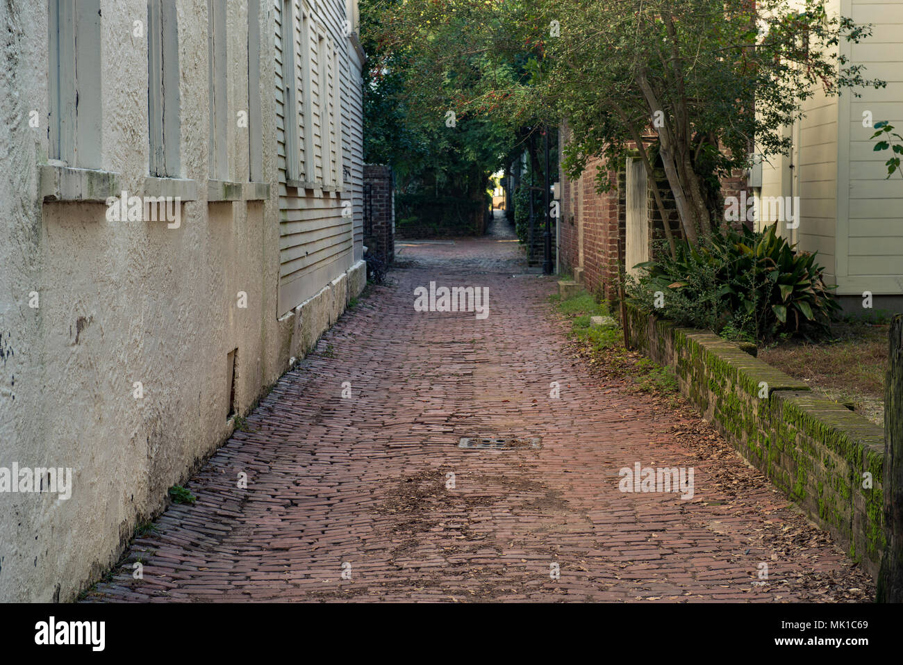 Brick wall planter plants hi-res stock photography and images - Alamy