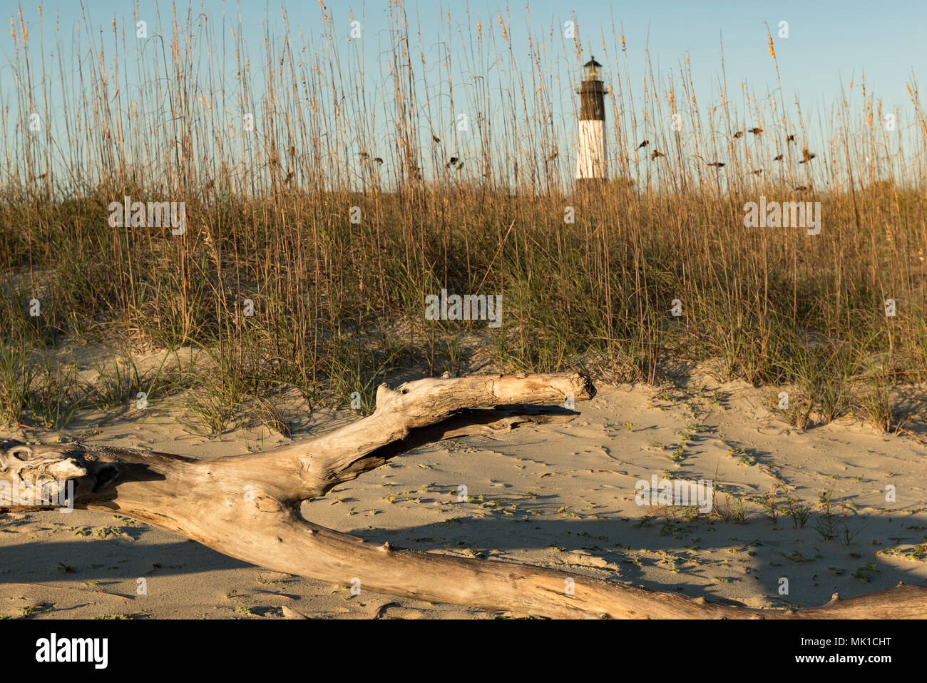 lighthouse beach scene on ocean shore beautiful landscape scene Stock ...