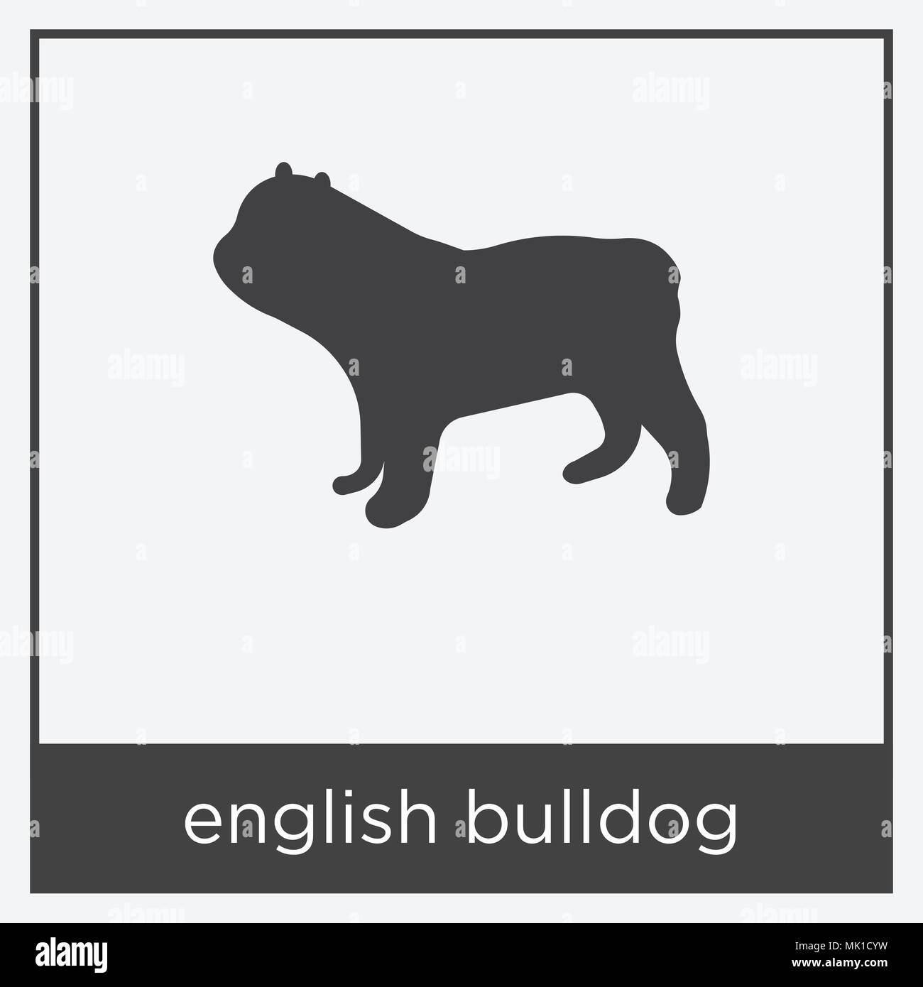 English bulldog png hi-res stock photography and images - Alamy