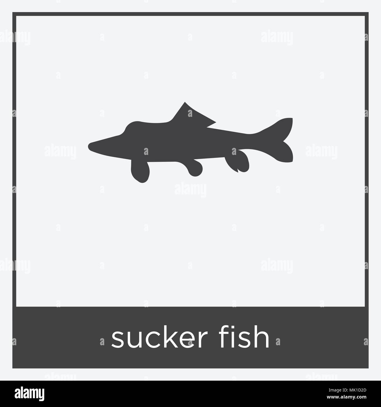 sucker fish icon isolated on white background with gray frame, sign and ...