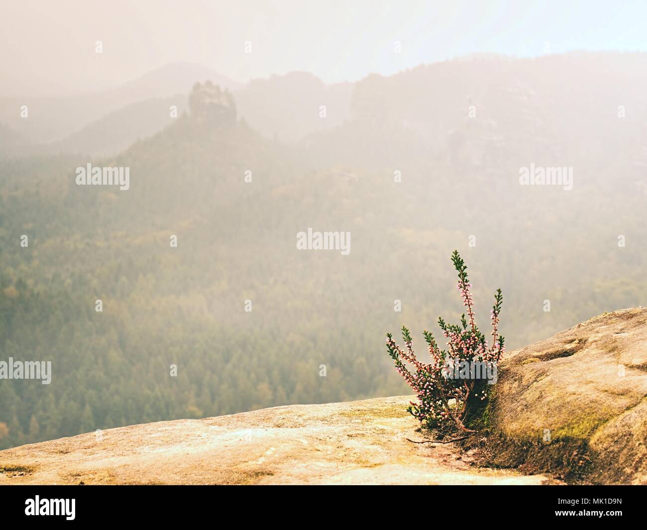 High peak contour hi-res stock photography and images - Alamy