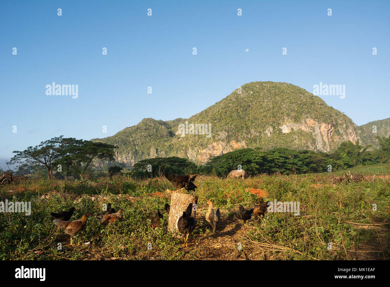 Cuban mogotes hi-res stock photography and images - Alamy