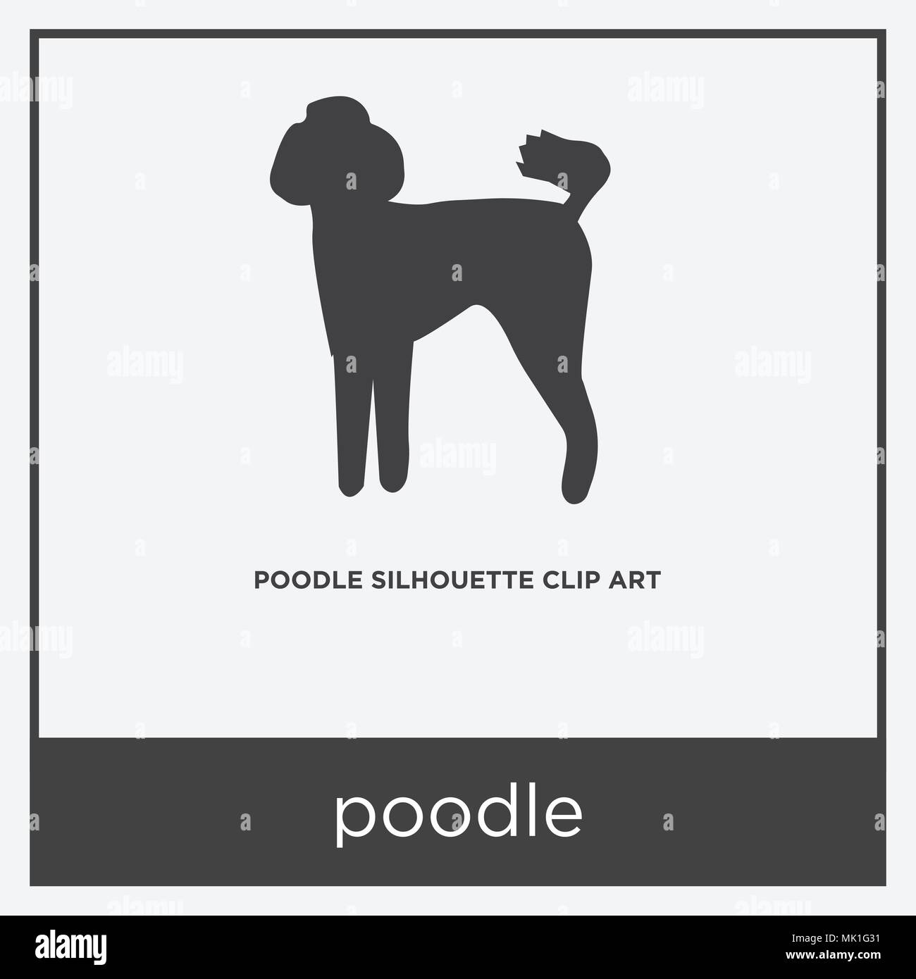 poodle icon isolated on white background with gray frame, sign and ...