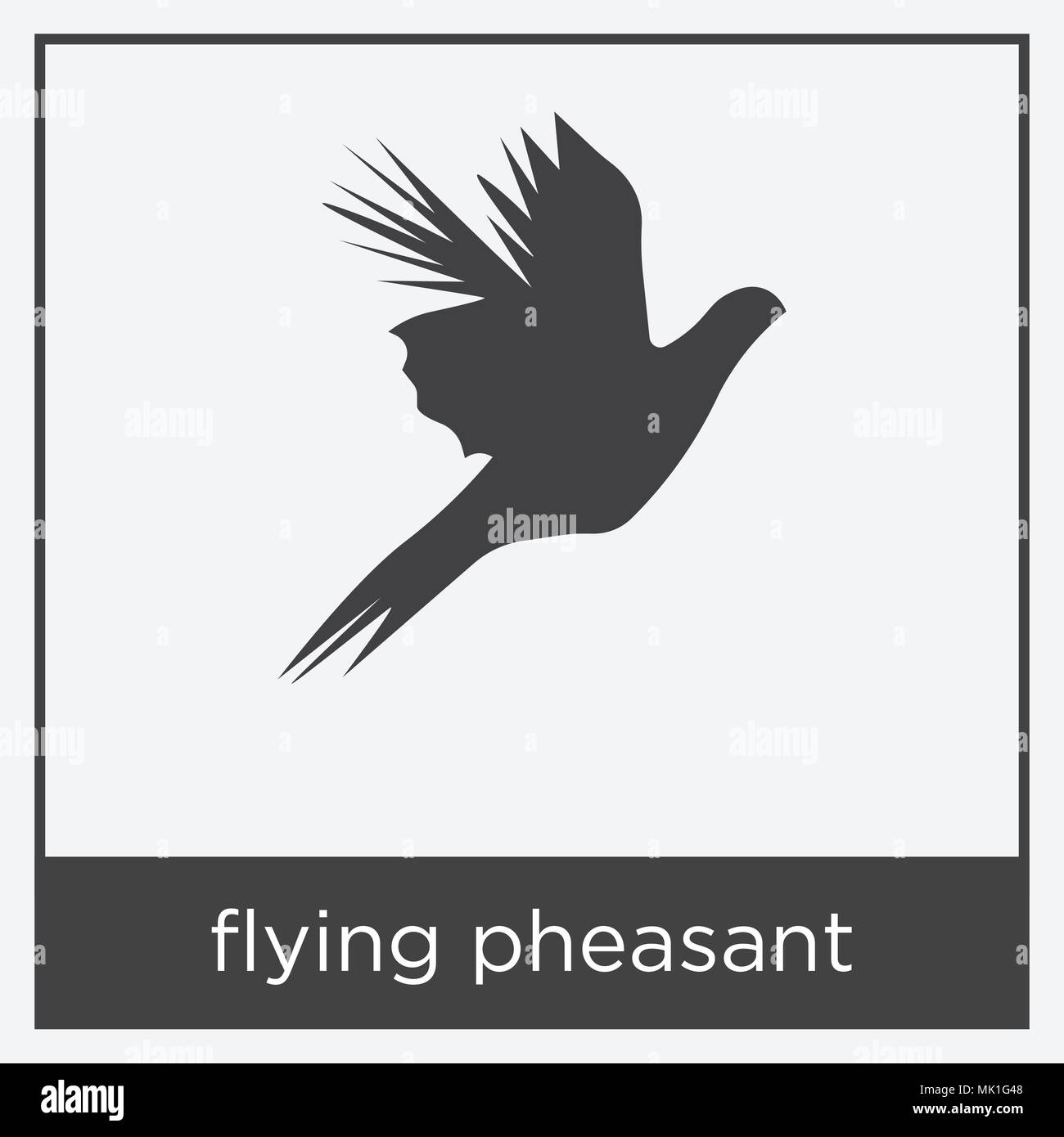 flying pheasant icon isolated on white background with gray frame, sign ...