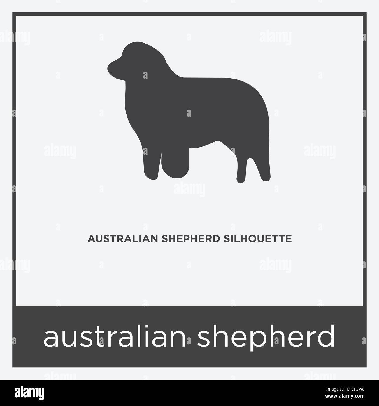 australian shepherd icon isolated on white background with gray frame ...