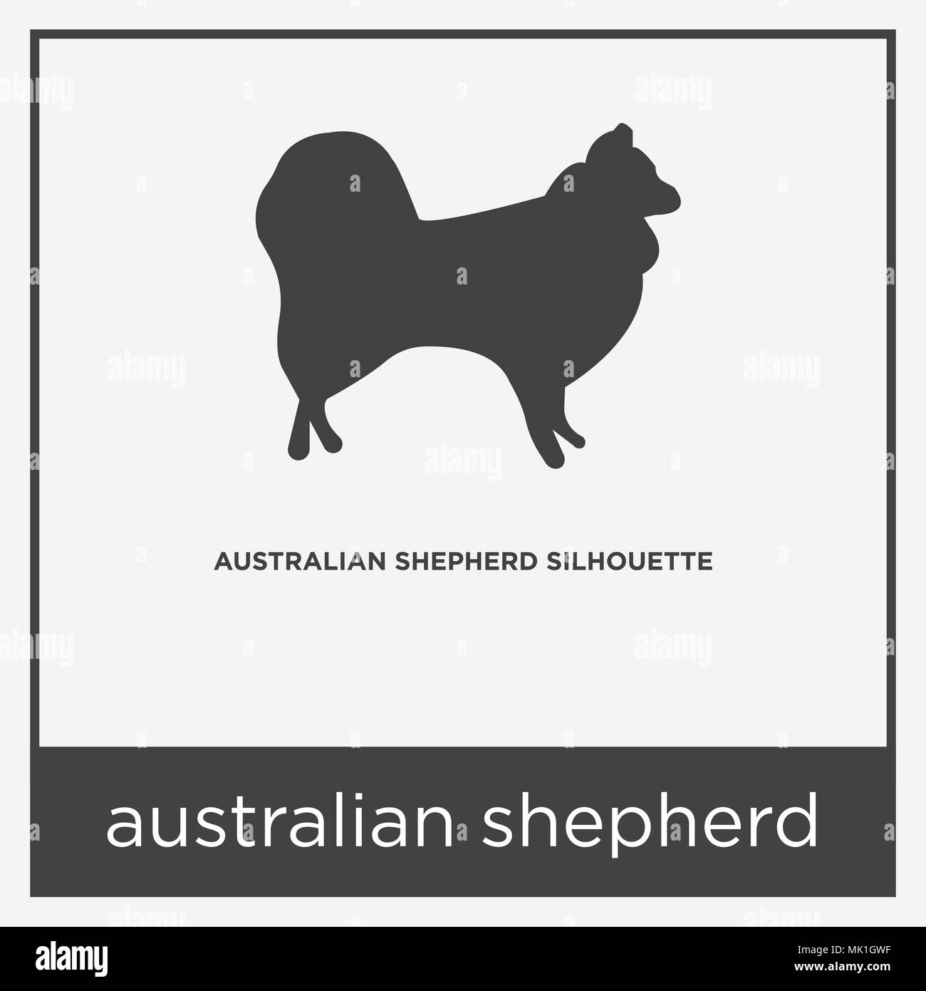 australian shepherd icon isolated on white background with gray frame ...