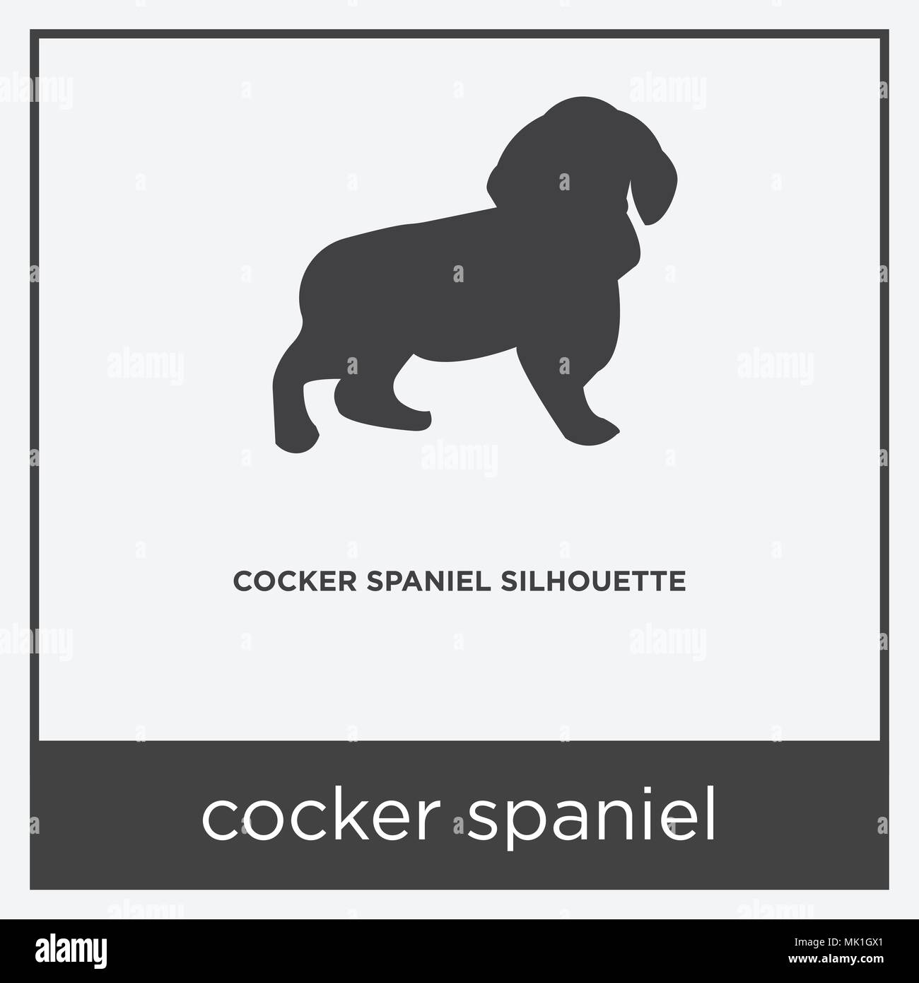 cocker spaniel icon isolated on white background with gray frame, sign ...