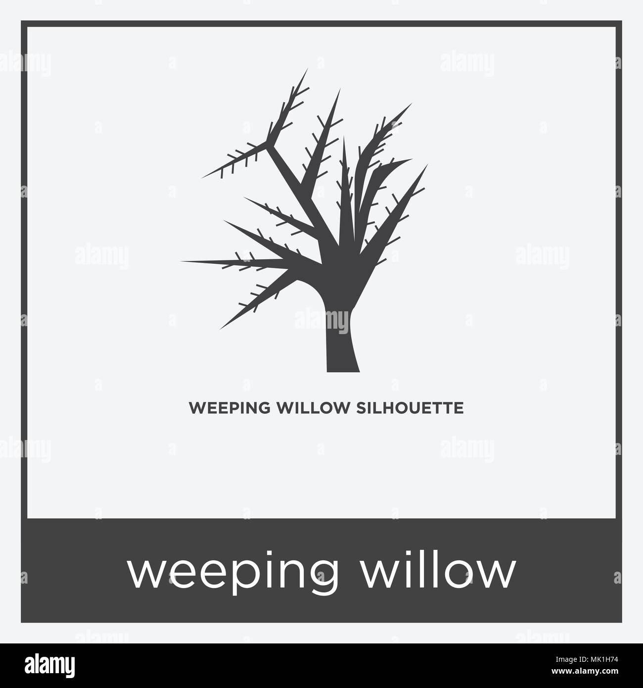 weeping willow icon isolated on white background with gray frame, sign ...