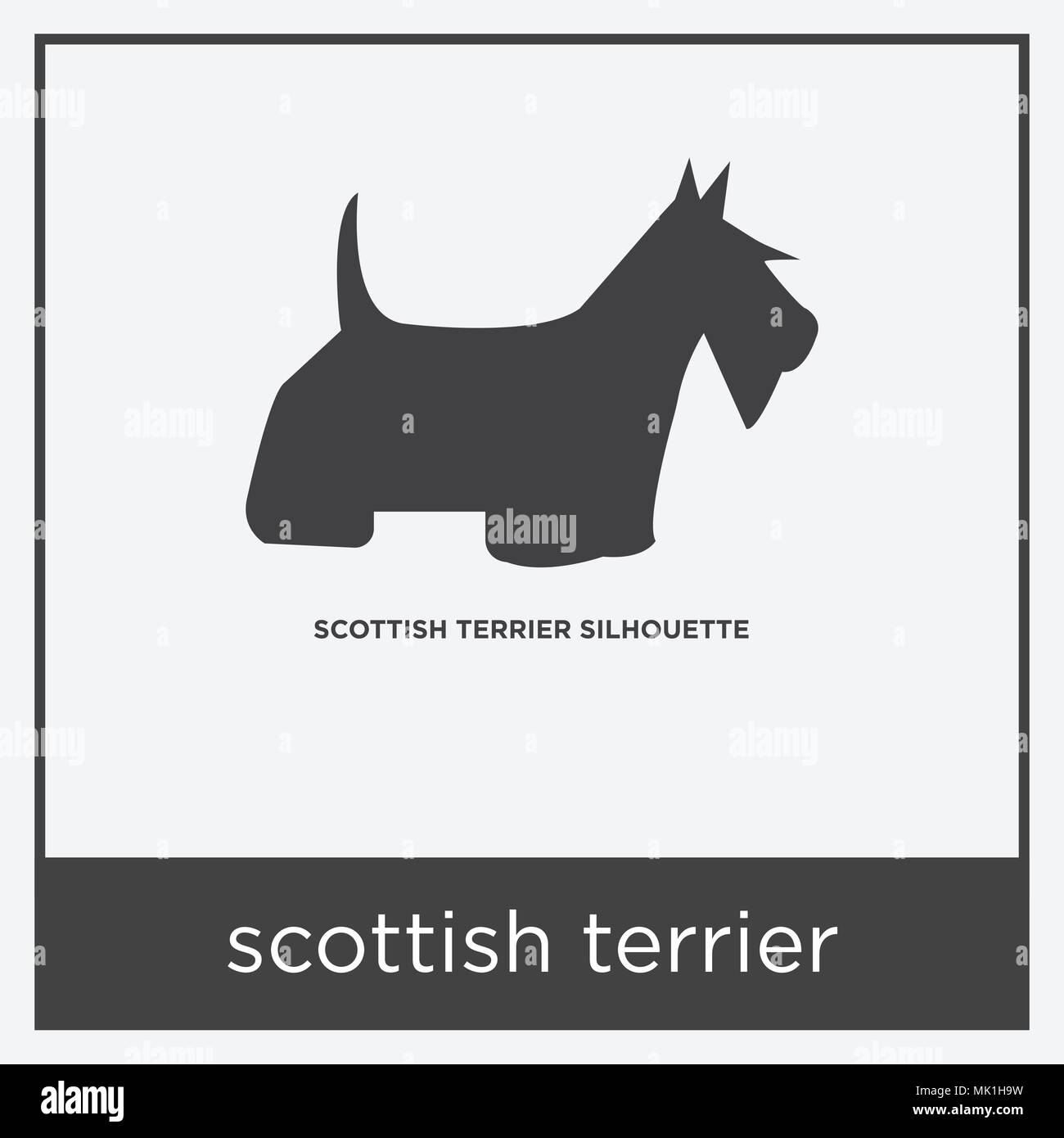 scottish terrier icon isolated on white background with gray frame ...