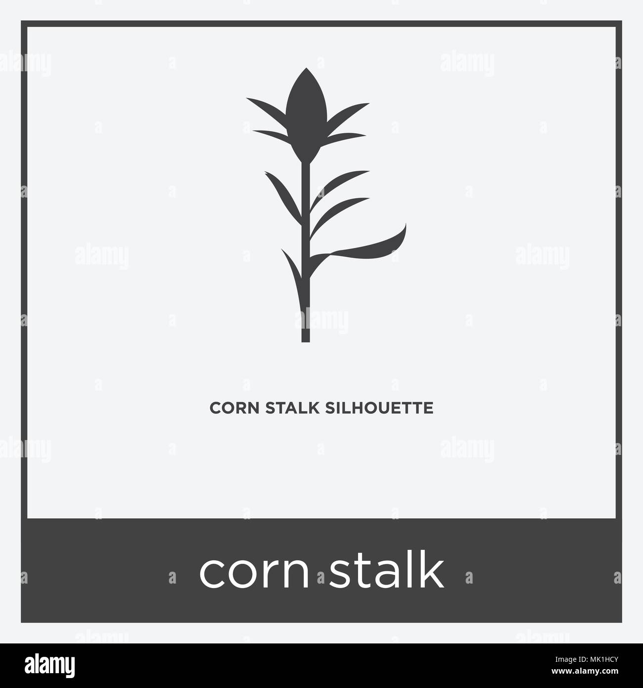 Corn Stalk Icon