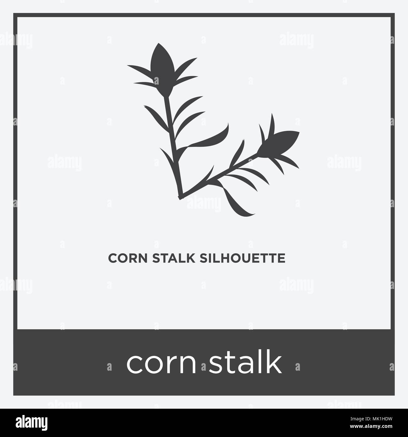 Corn Stalk Silhouette Vector