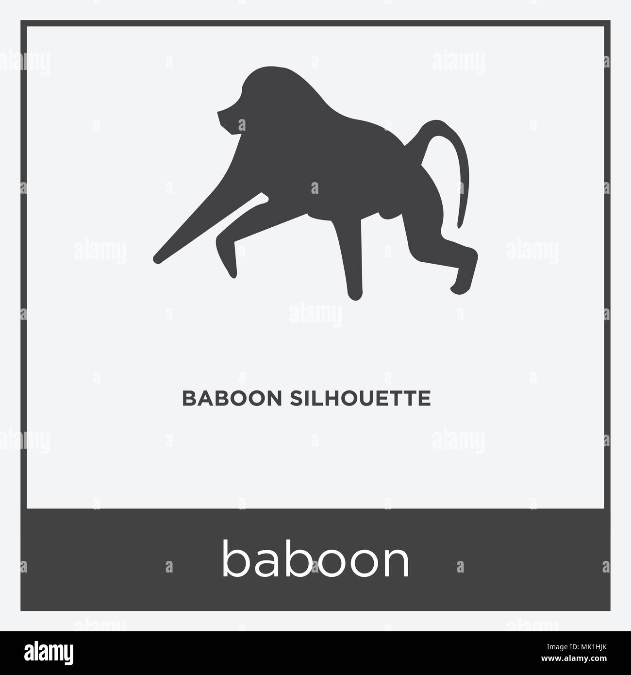 baboon icon isolated on white background with gray frame, sign and ...