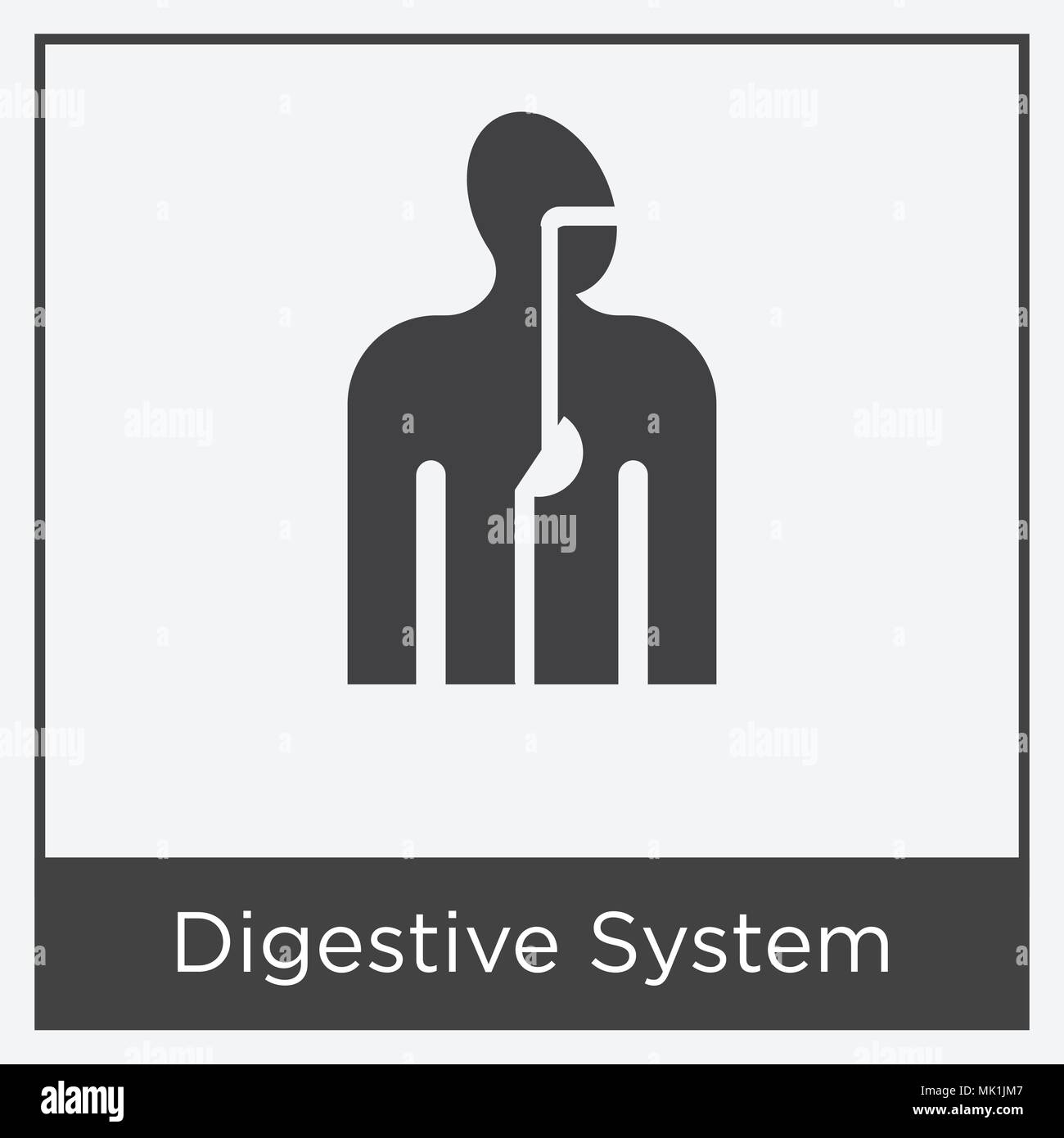 Digestive System icon isolated on white background with gray frame ...