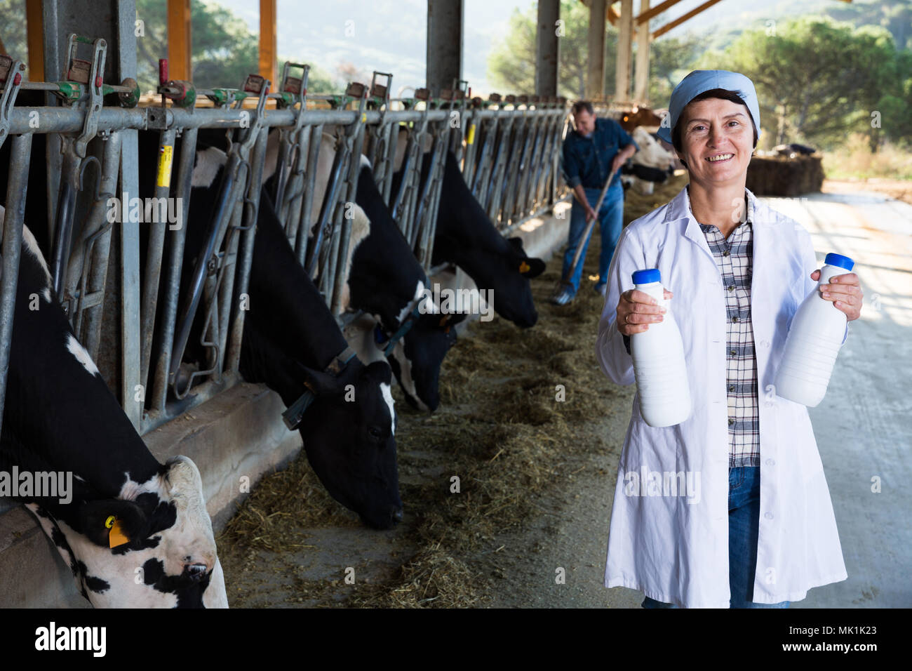Female quality expert is standing in uniform at the cow farm Stock ...