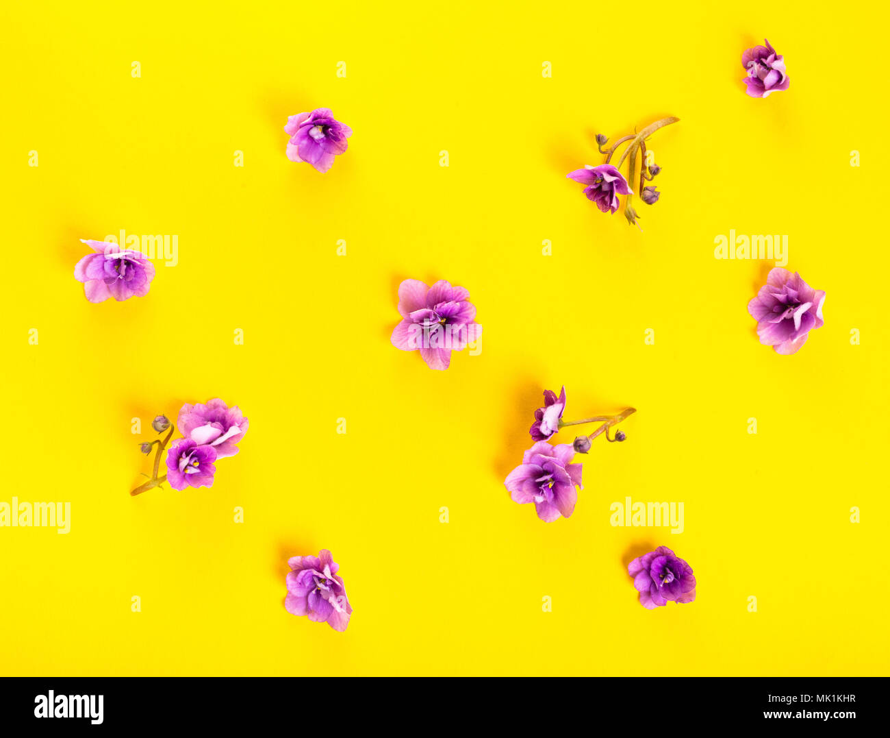 spring background of flowers violets on yellow Stock Photo - Alamy