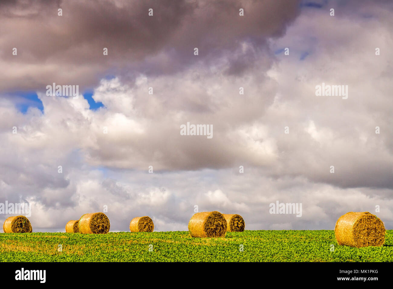 Hay Bail Drying In The Sun, Aldworth, Berkshire, UK Stock Photo - Alamy