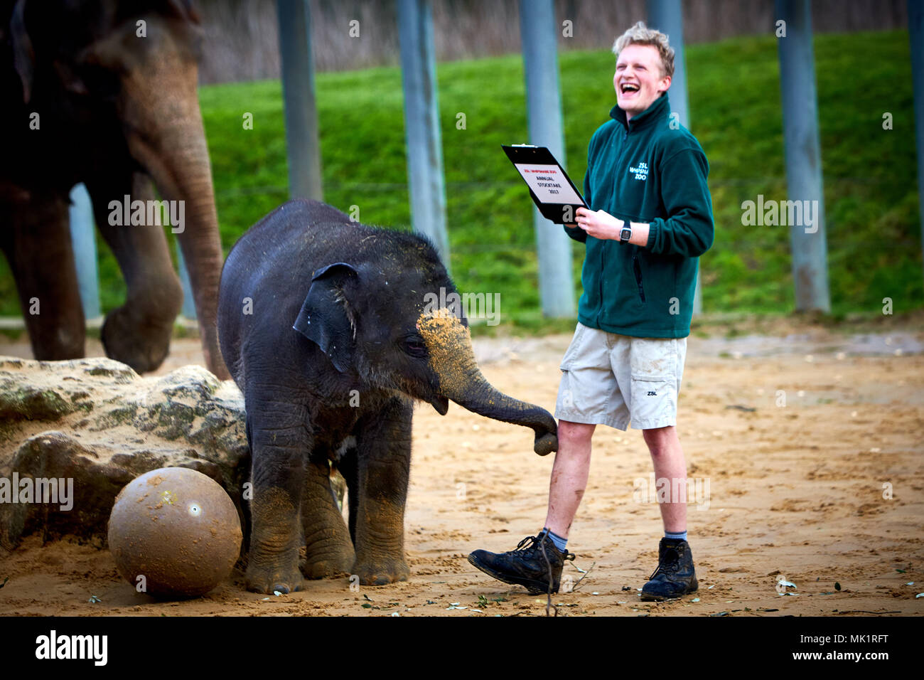 A keeper interacts with a baby Asian elephant during the annual animal ...