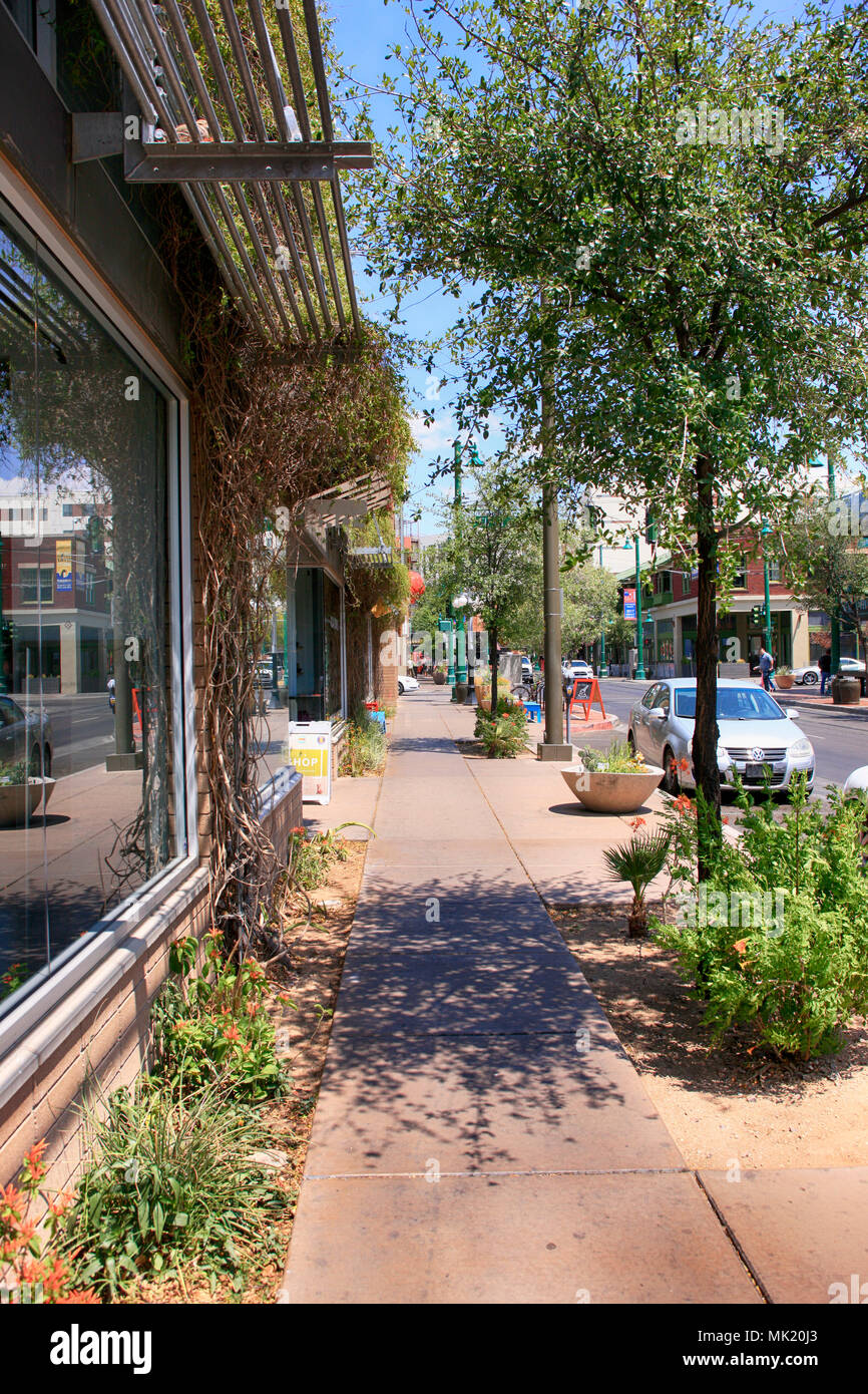 Pleasant sidewalk filled with greenery on Congress Ave in downtown ...