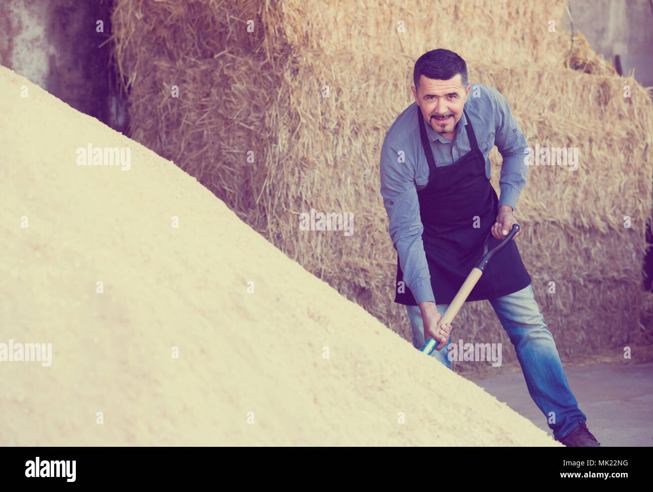 Spade soil lifting hi-res stock photography and images - Alamy