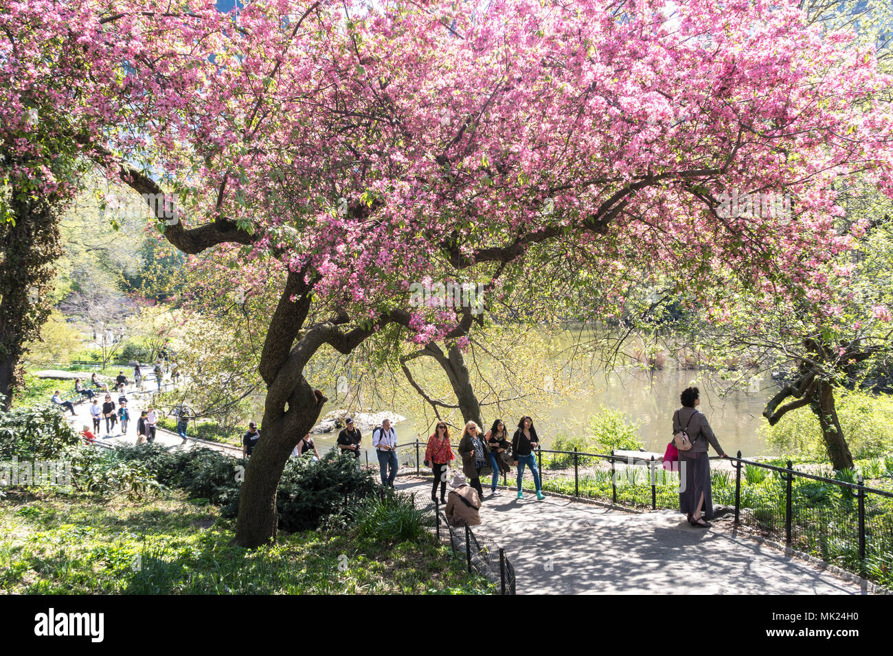 New york park beauty hi-res stock photography and images - Alamy