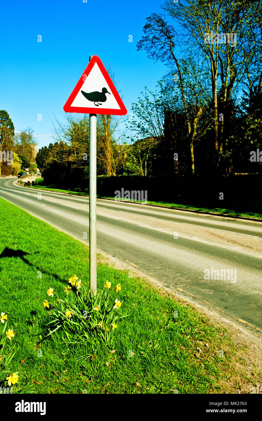 Ducks crossing road sign hi-res stock photography and images - Alamy
