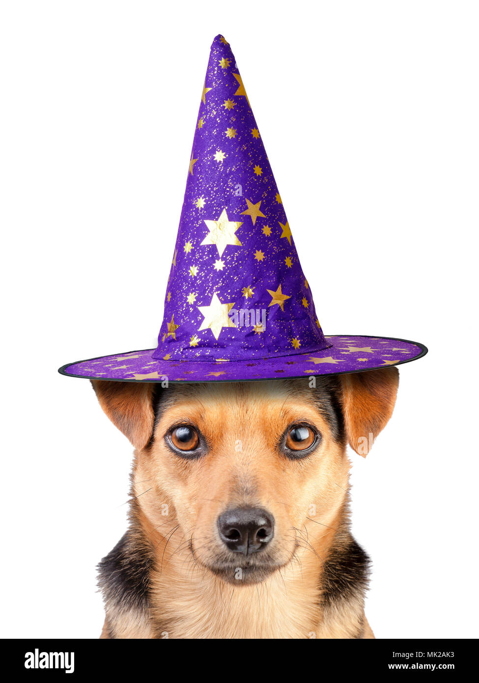 Wizard hat hi-res stock photography and images - Alamy