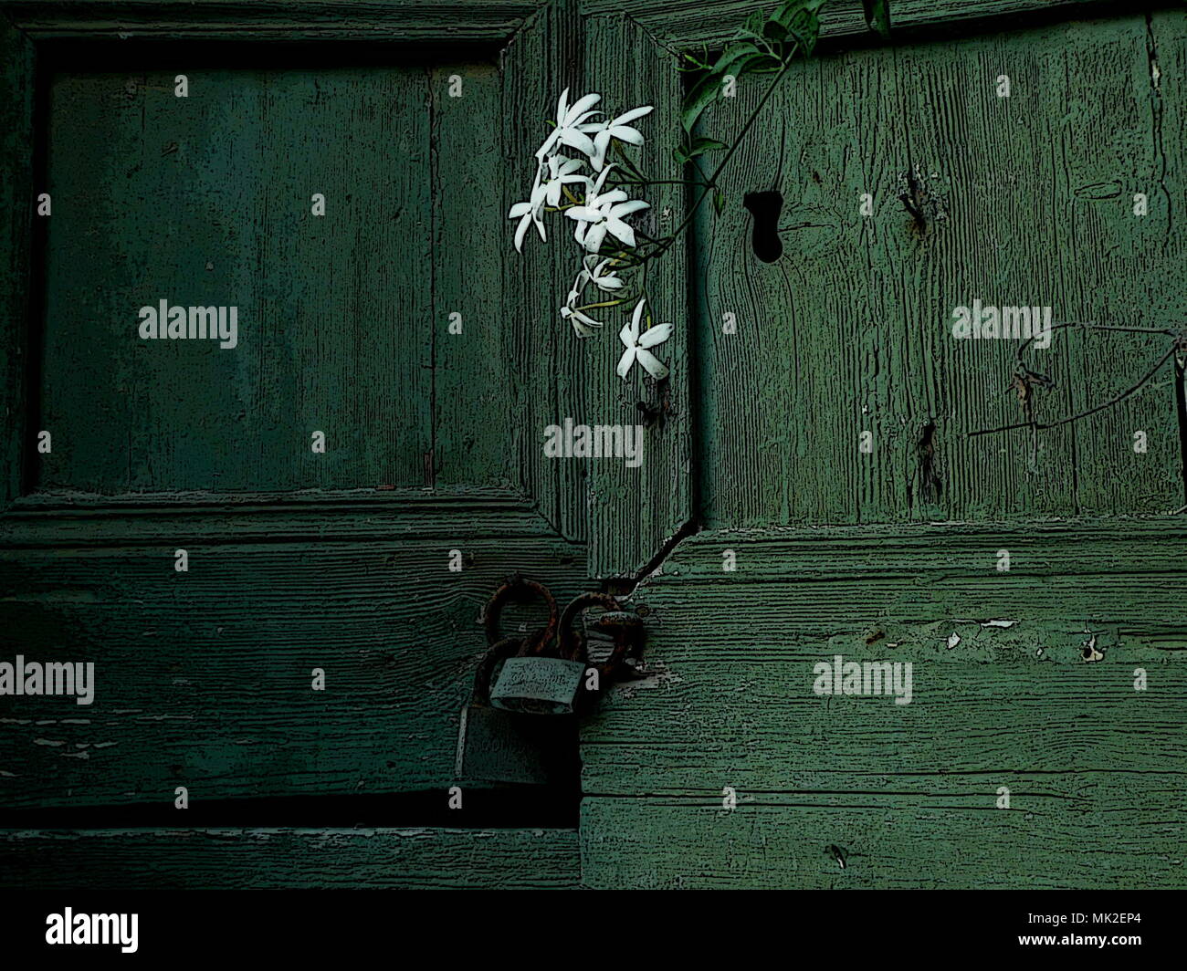 Greek Island - Detail of a green door and white jasmine in the old ...