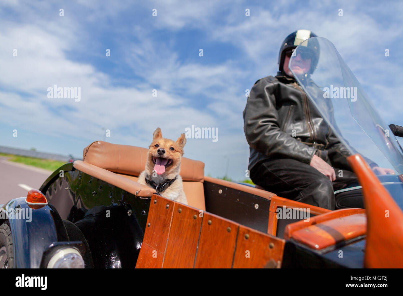 Motorbike, sidecar, dog hi-res stock photography and images - Alamy