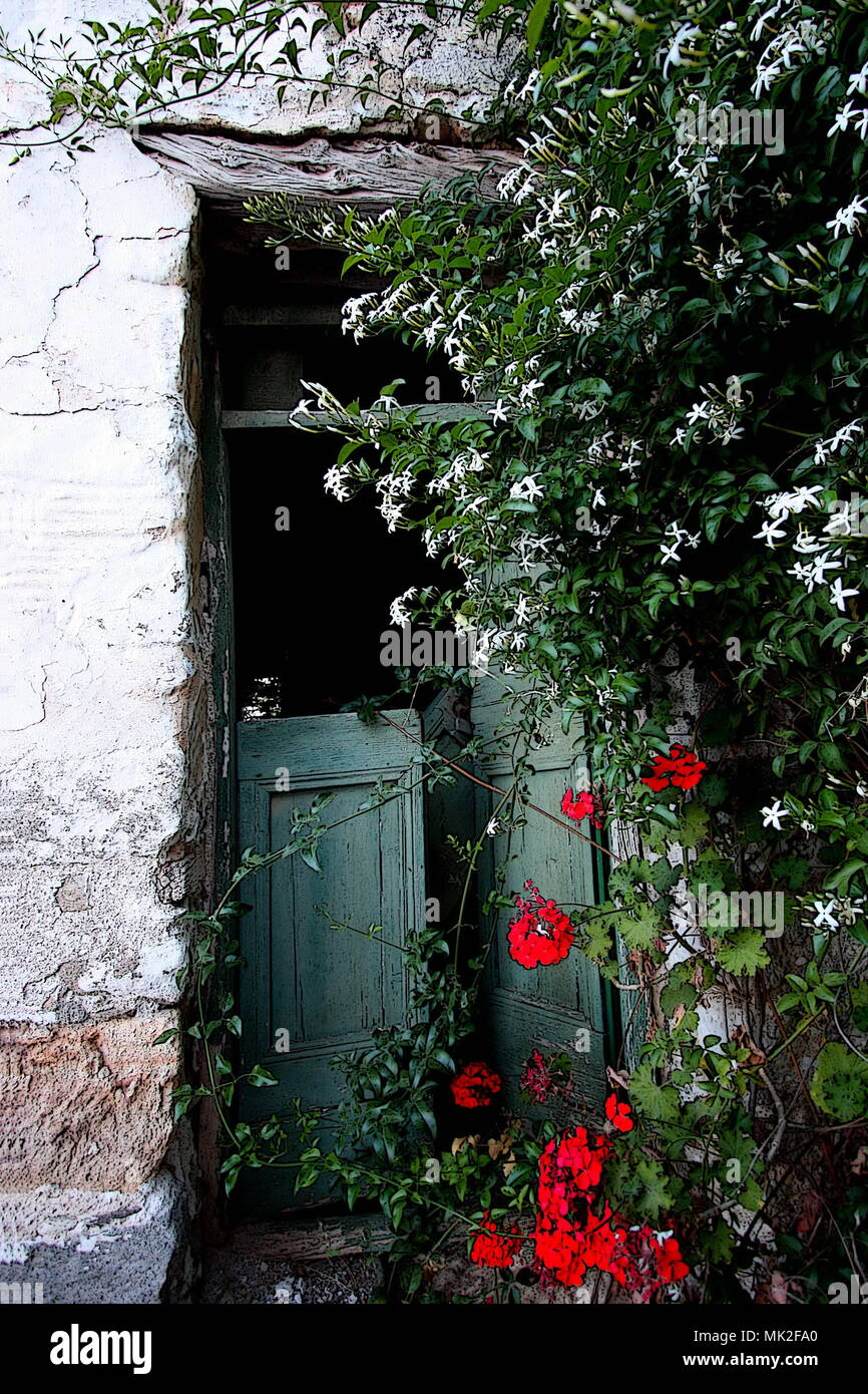 Greek Island - Detail of a green door and white jasmine in the old ...