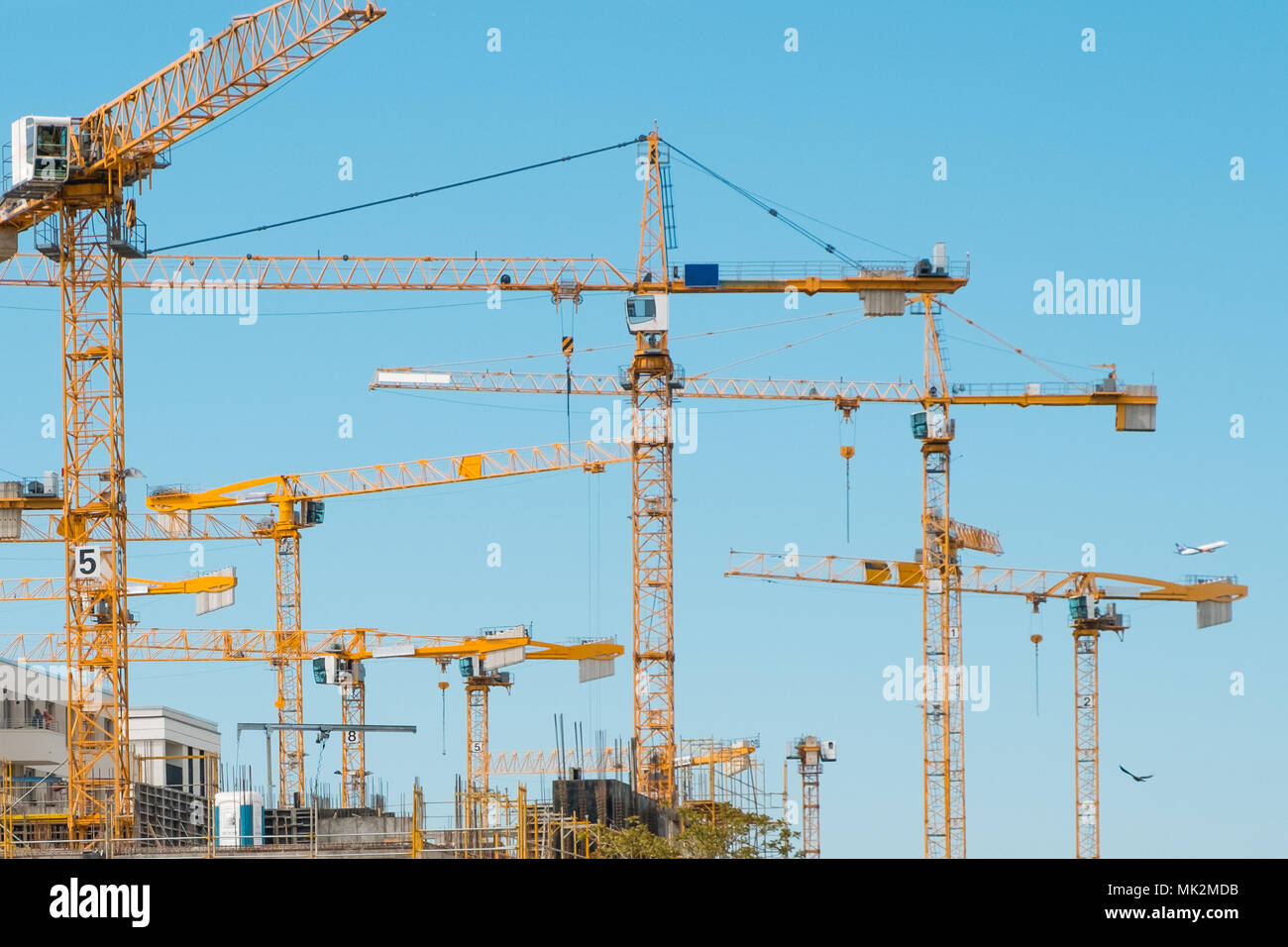 many cranes on building site - construction cranes on blue sky Stock ...