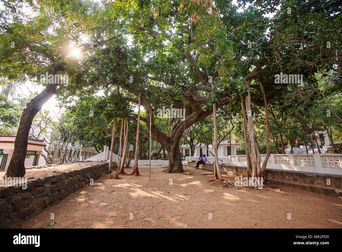 Arunachala, Tiruvannamalai / Tamil Nadu / India, January 22, 2018 ...