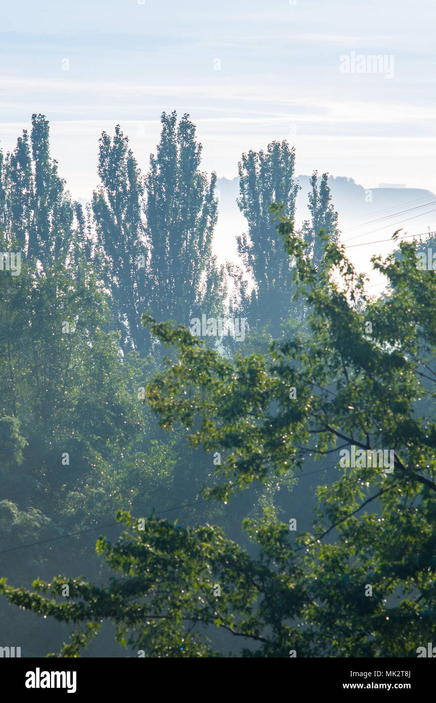 The landscape of the industrial city, green trees and mine waste heaps ...