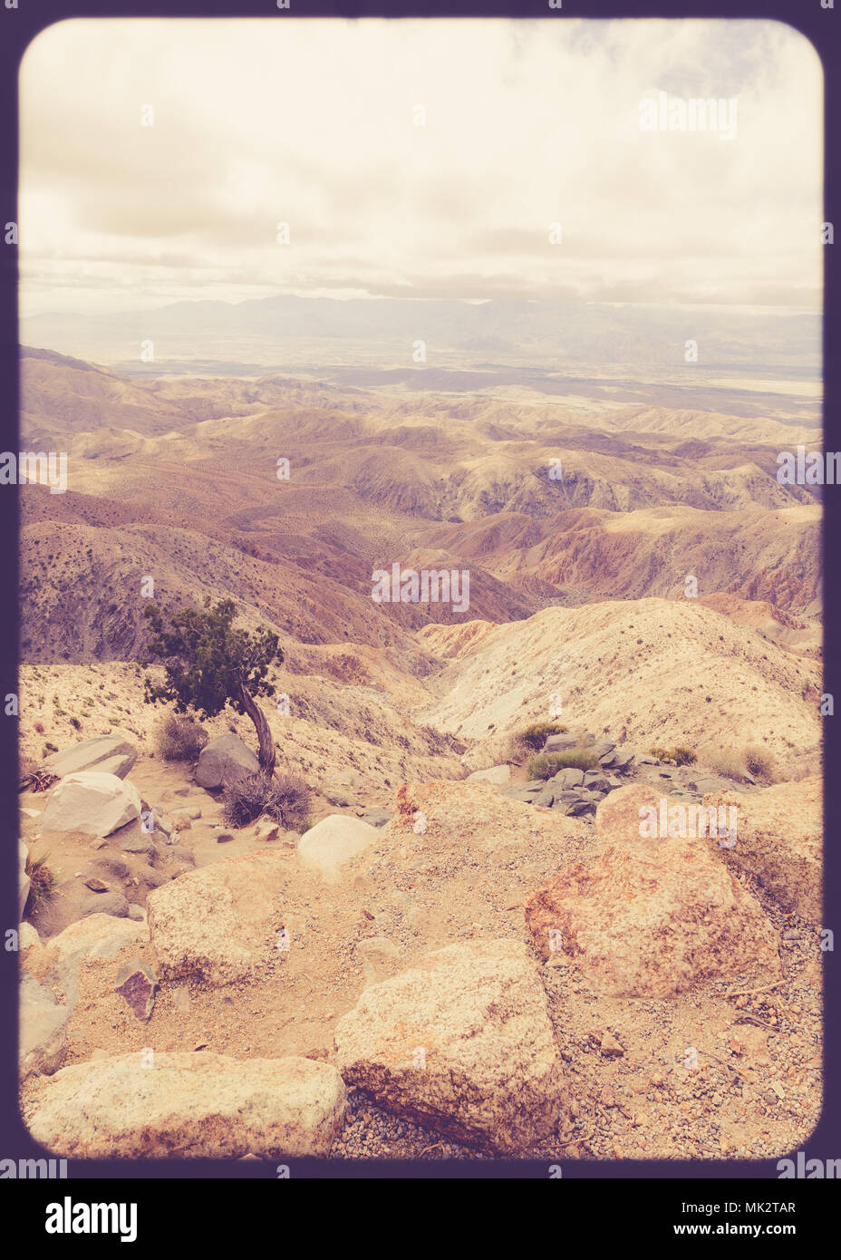 Vintage style view of tree and California landscape mountains at San ...