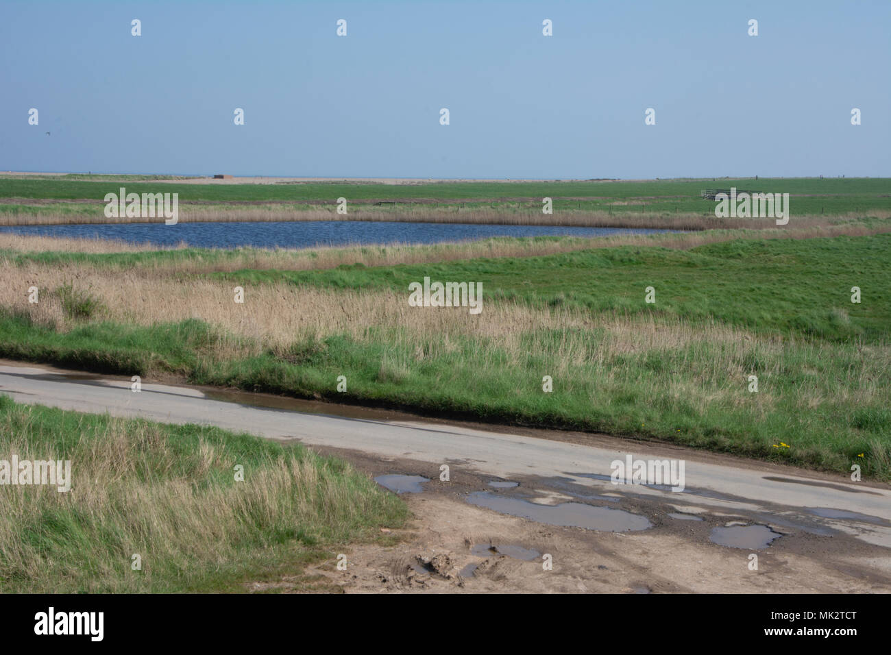 Marshland, North Norfolk, England, UK Stock Photo - Alamy