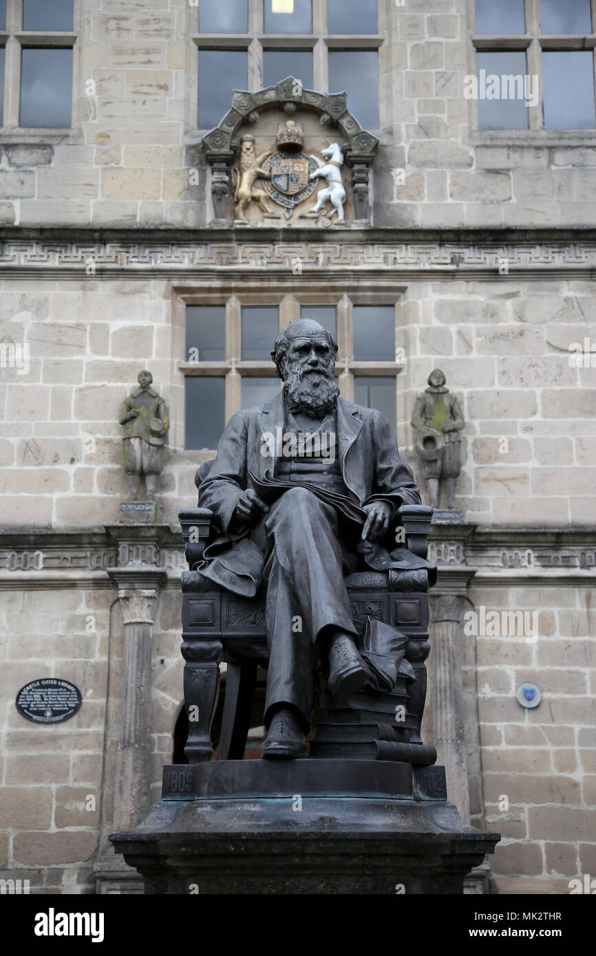 Charles Darwin statue in front of Shrewsbury Library in Shrewsbury ...