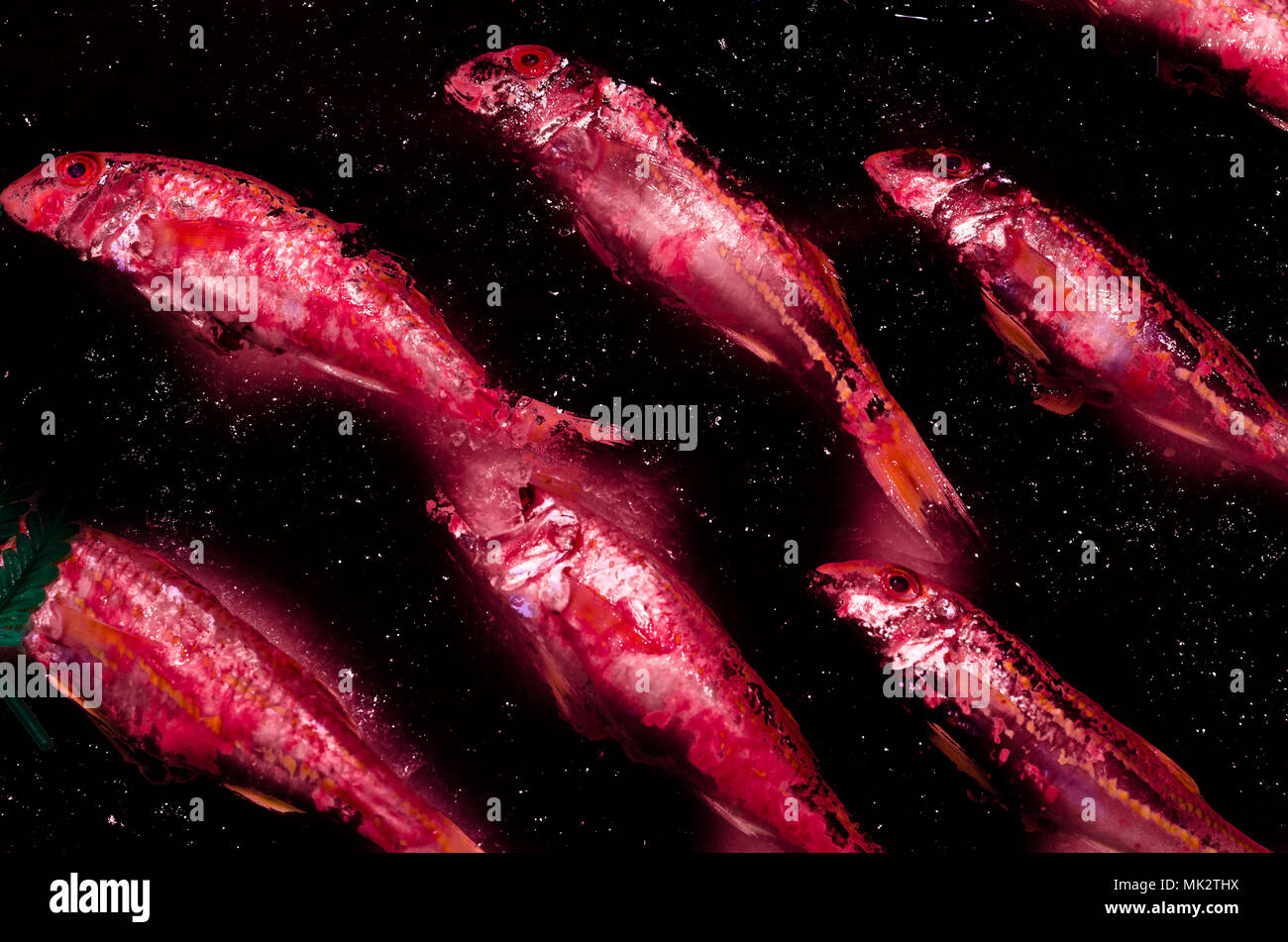 Colorful illustration of fresh fish on a market stall Stock Photo - Alamy