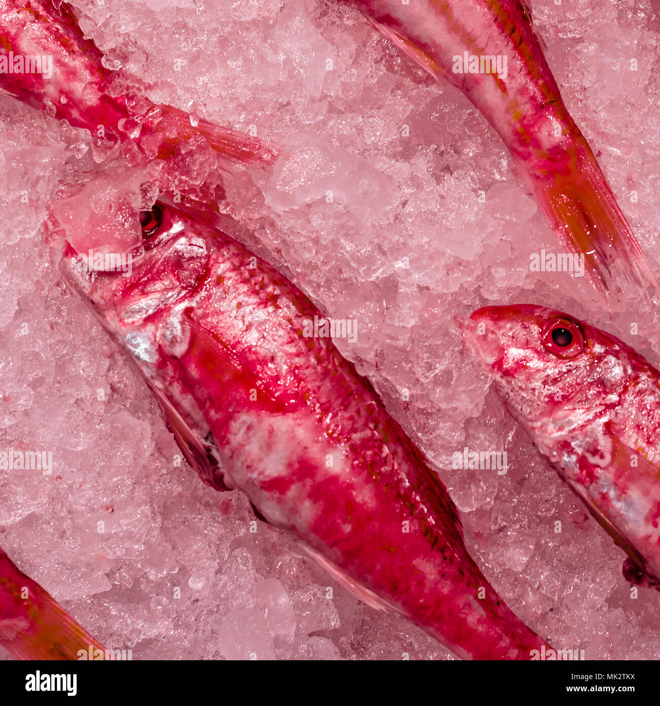 Fresh product in a fish market, food background Stock Photo - Alamy