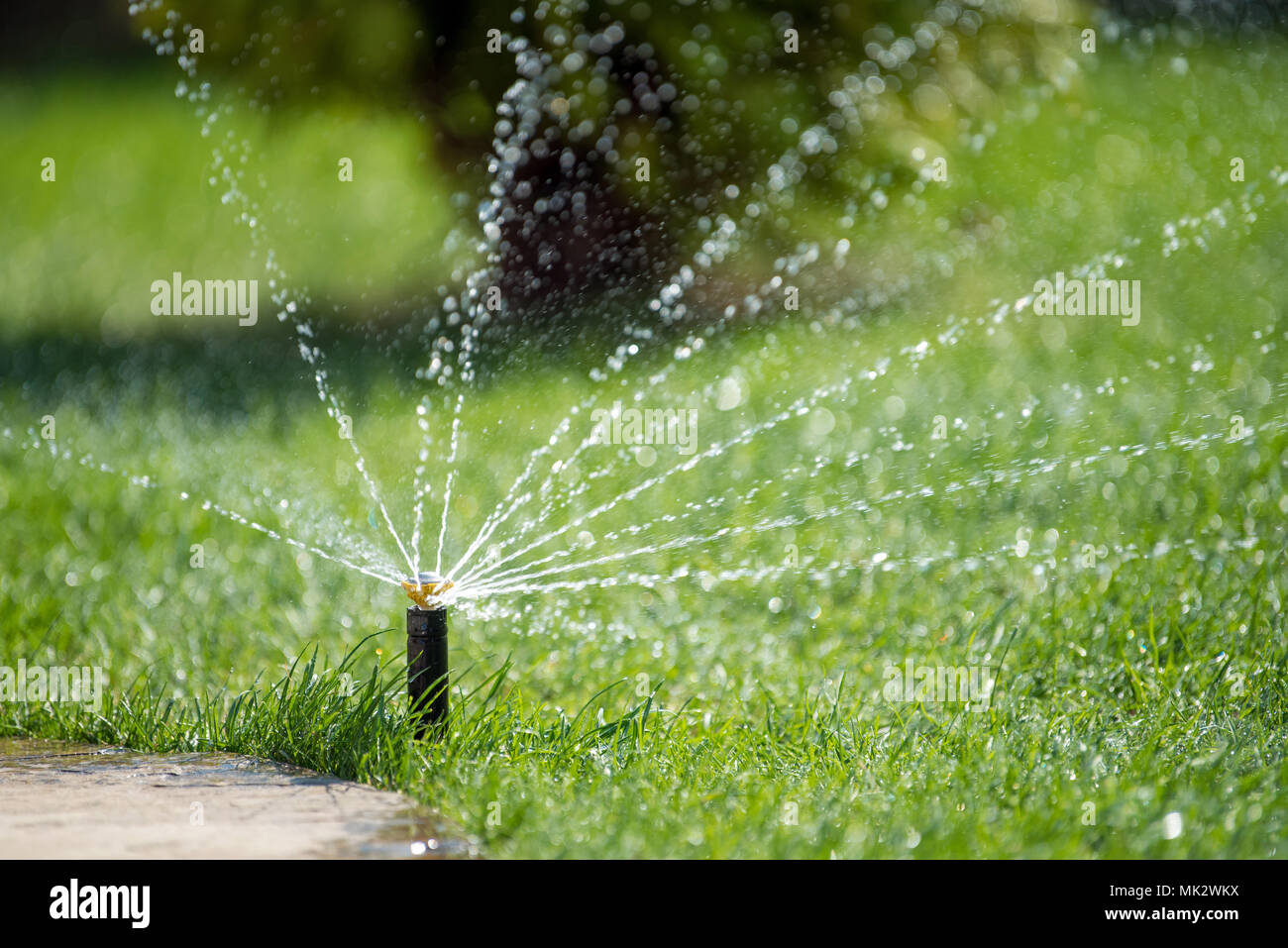 Automatic lawn sprinkler hi-res stock photography and images - Alamy