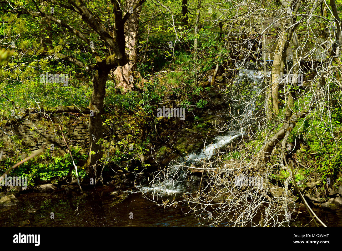 River Tame waterfall in Friezland in the Peak District National Park ...