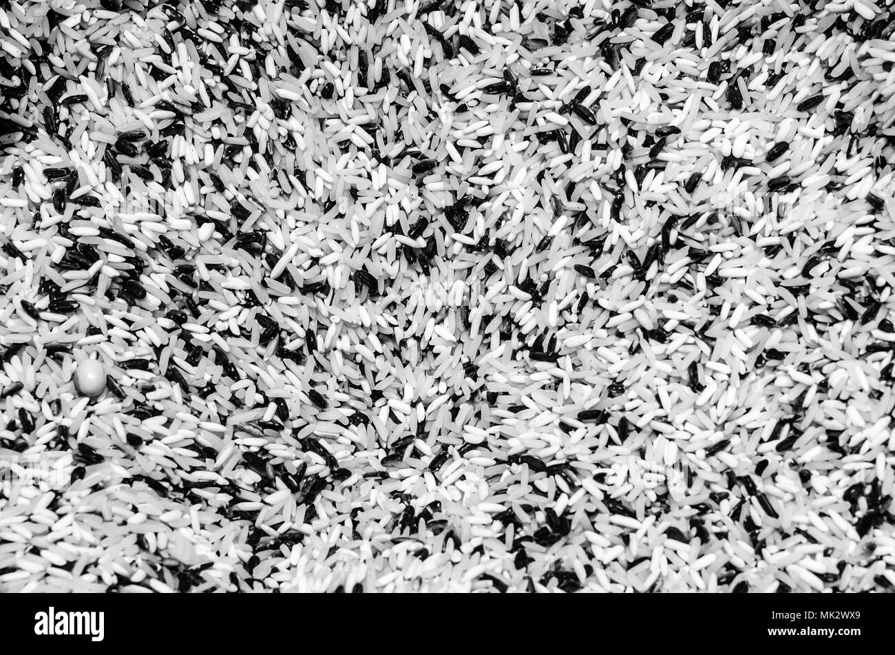 Background of various types of rice grains Stock Photo - Alamy