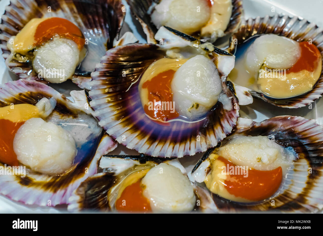 Big scallops hi-res stock photography and images - Alamy