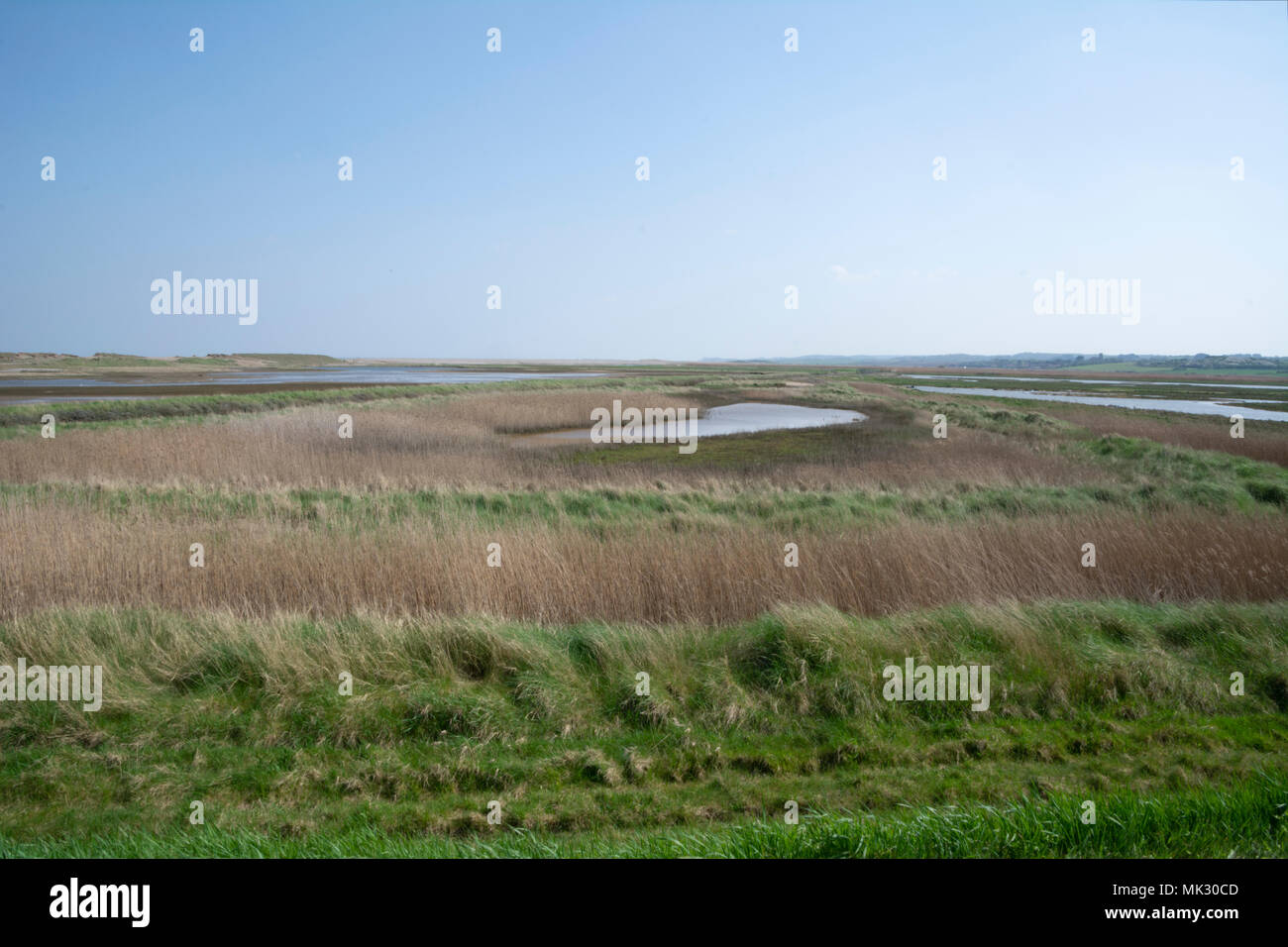 Salt marsh at the north sea hi-res stock photography and images - Alamy