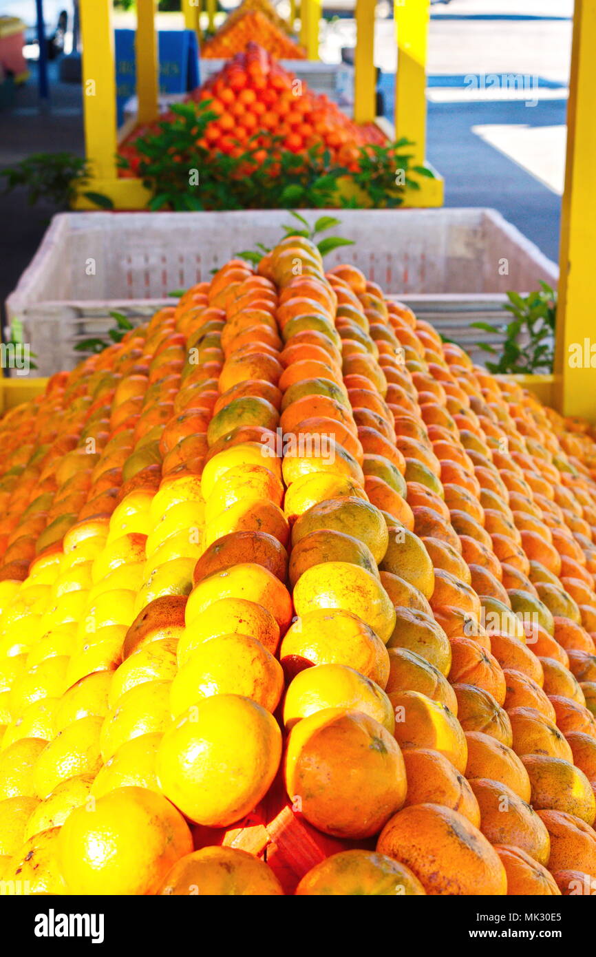 Dunedin florida hi-res stock photography and images - Alamy