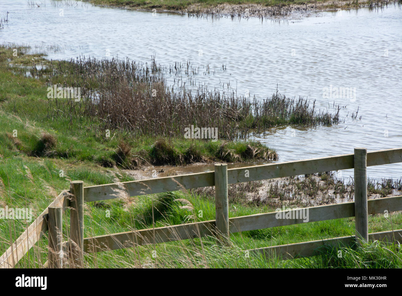 Fence in water sea hi-res stock photography and images - Alamy